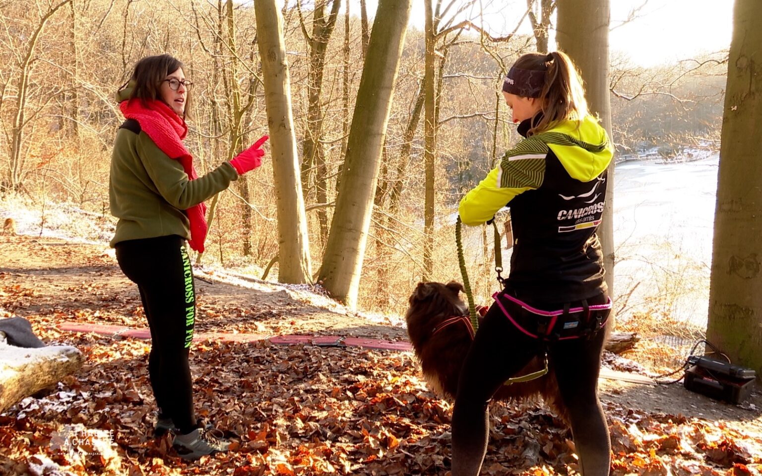 Sarah, chastroise et organisatrice du Canicross du crapaud - J'habite à ...
